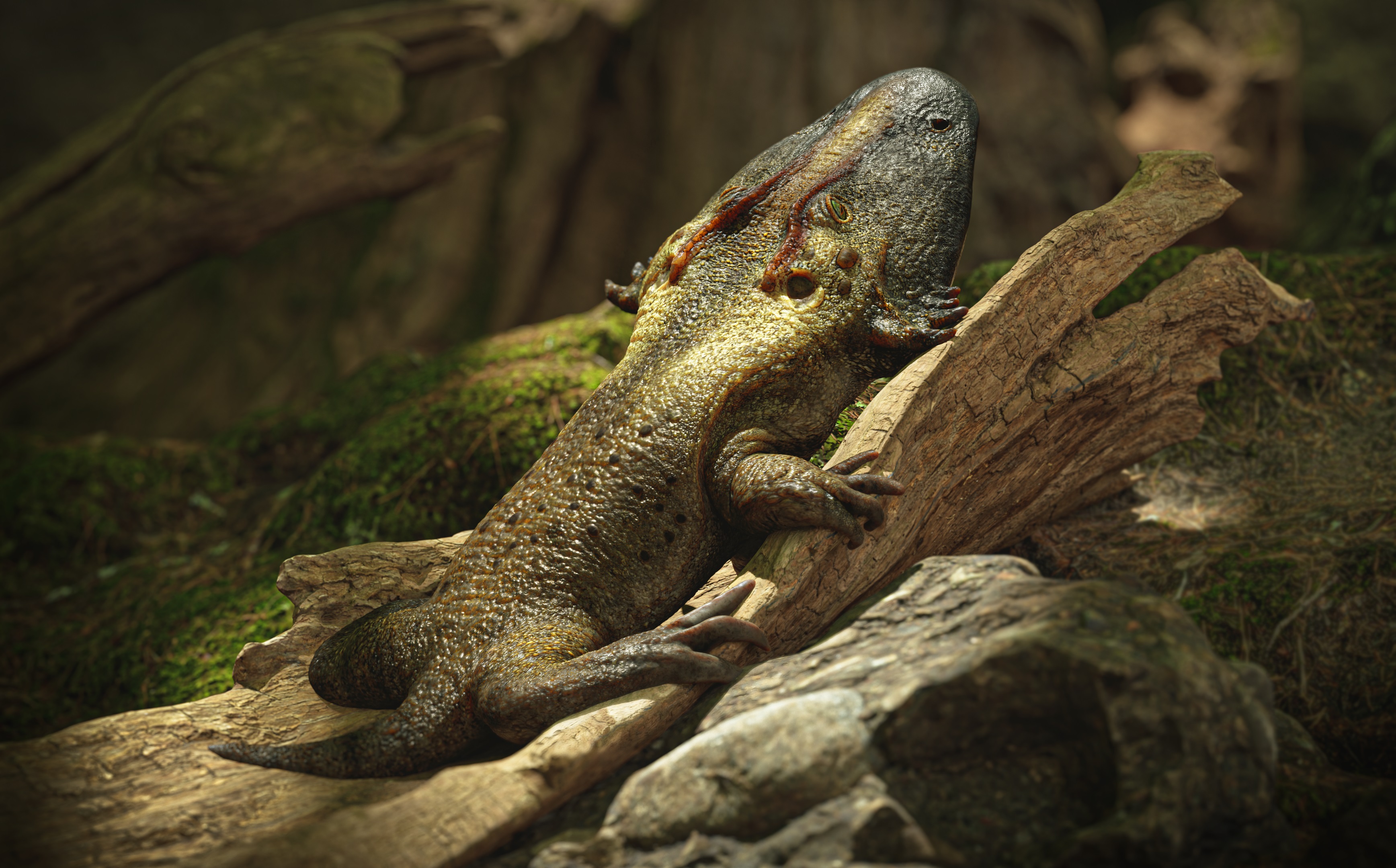 New animal species discovered in the Petrified Forest: Chemnitz.de