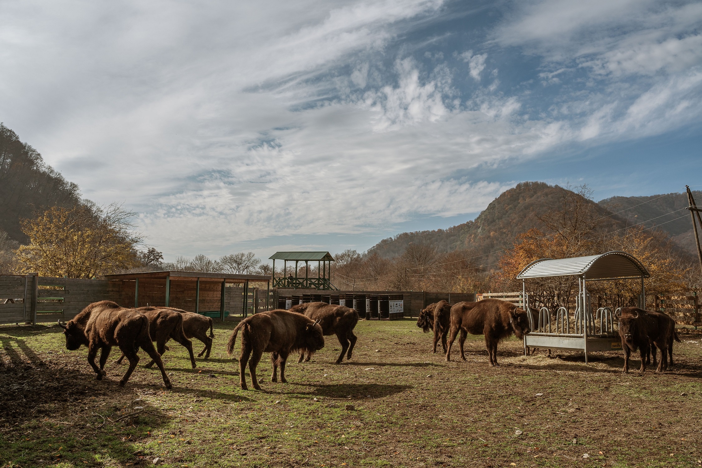 Return to the wilderness: Chemnitz.de