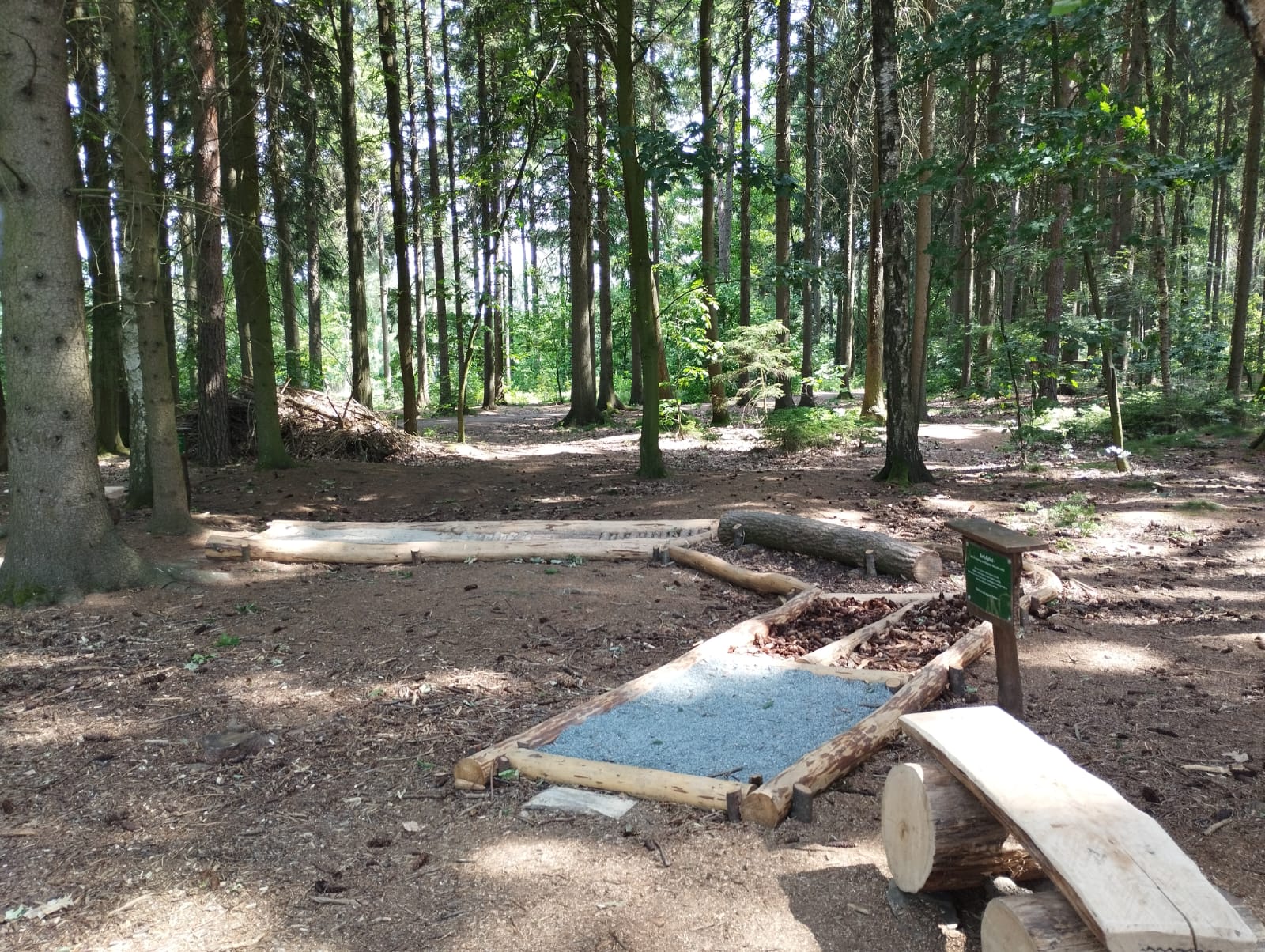Young wildcats and a new barefoot path in the wildlife park: Chemnitz.de