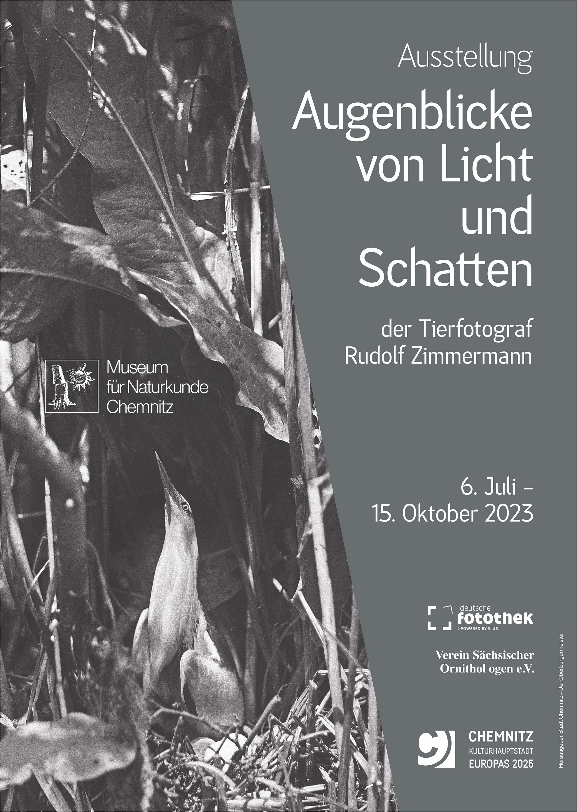 Special exhibition "Moments of light and shadow - the animal ...