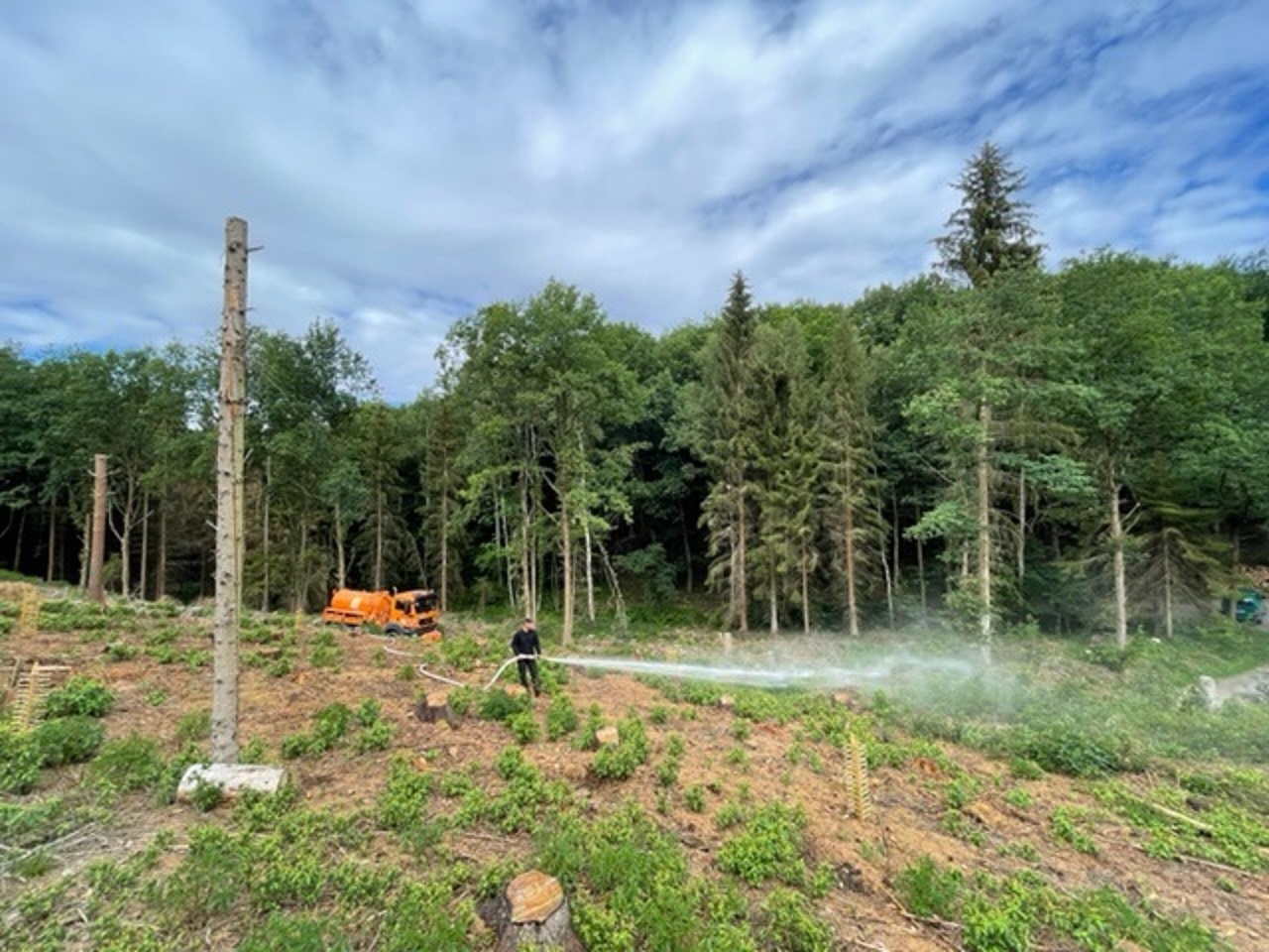 Guided tour through the Sechsruthenwald: Chemnitz.de
