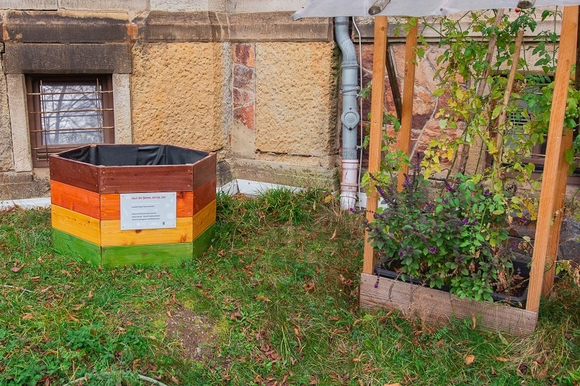 Museum of Natural History has won the eku Future Prize: Chemnitz.de