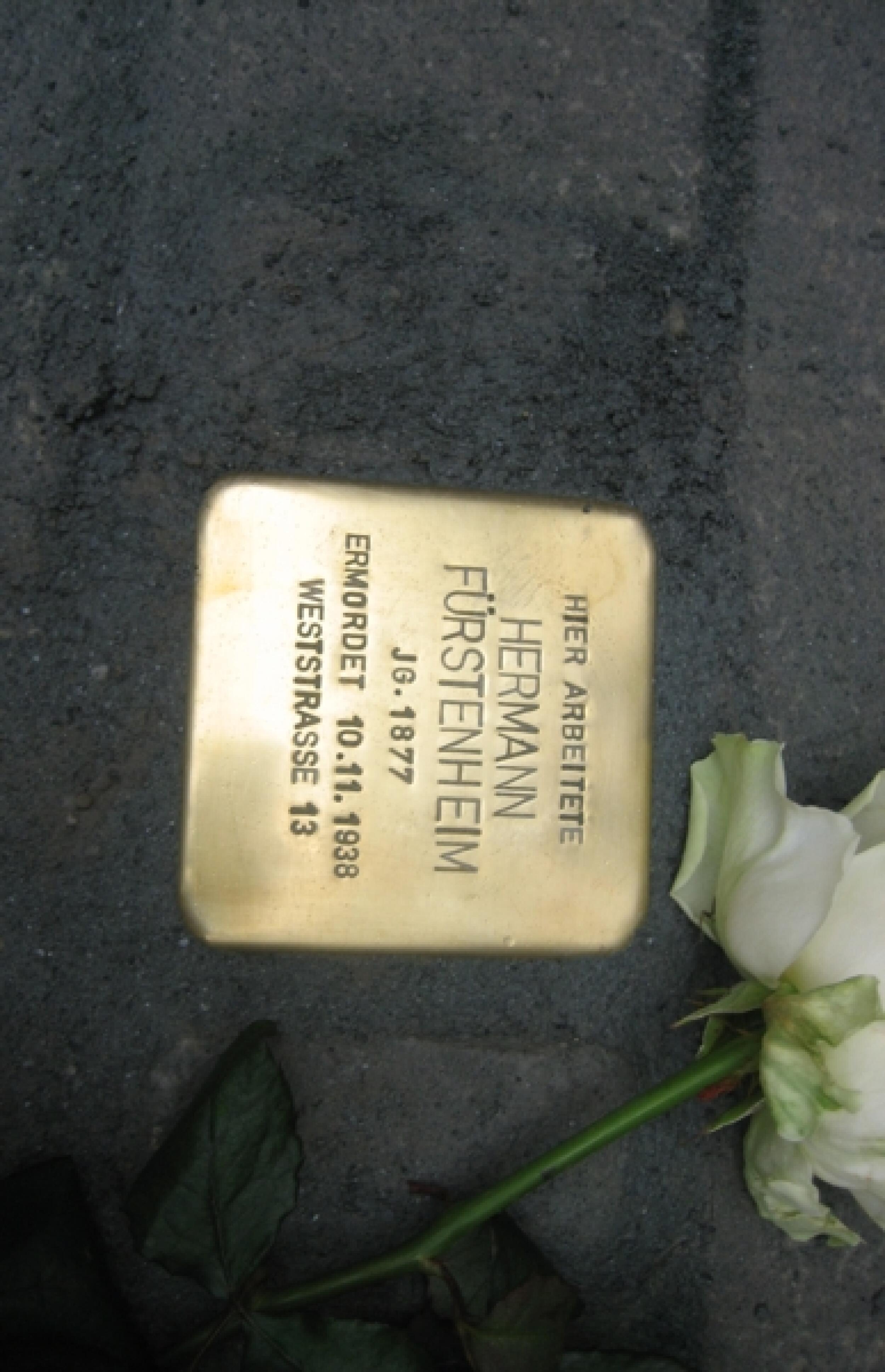 Stumbling stone laying on 8 November 2013: Chemnitz.de